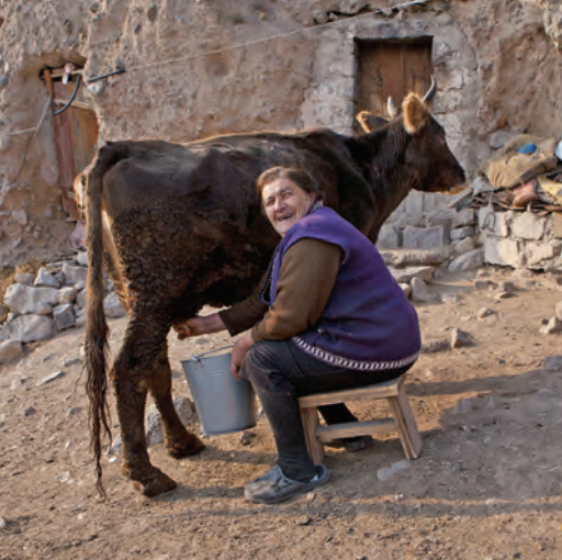 NGO + Development - Katya Cengel